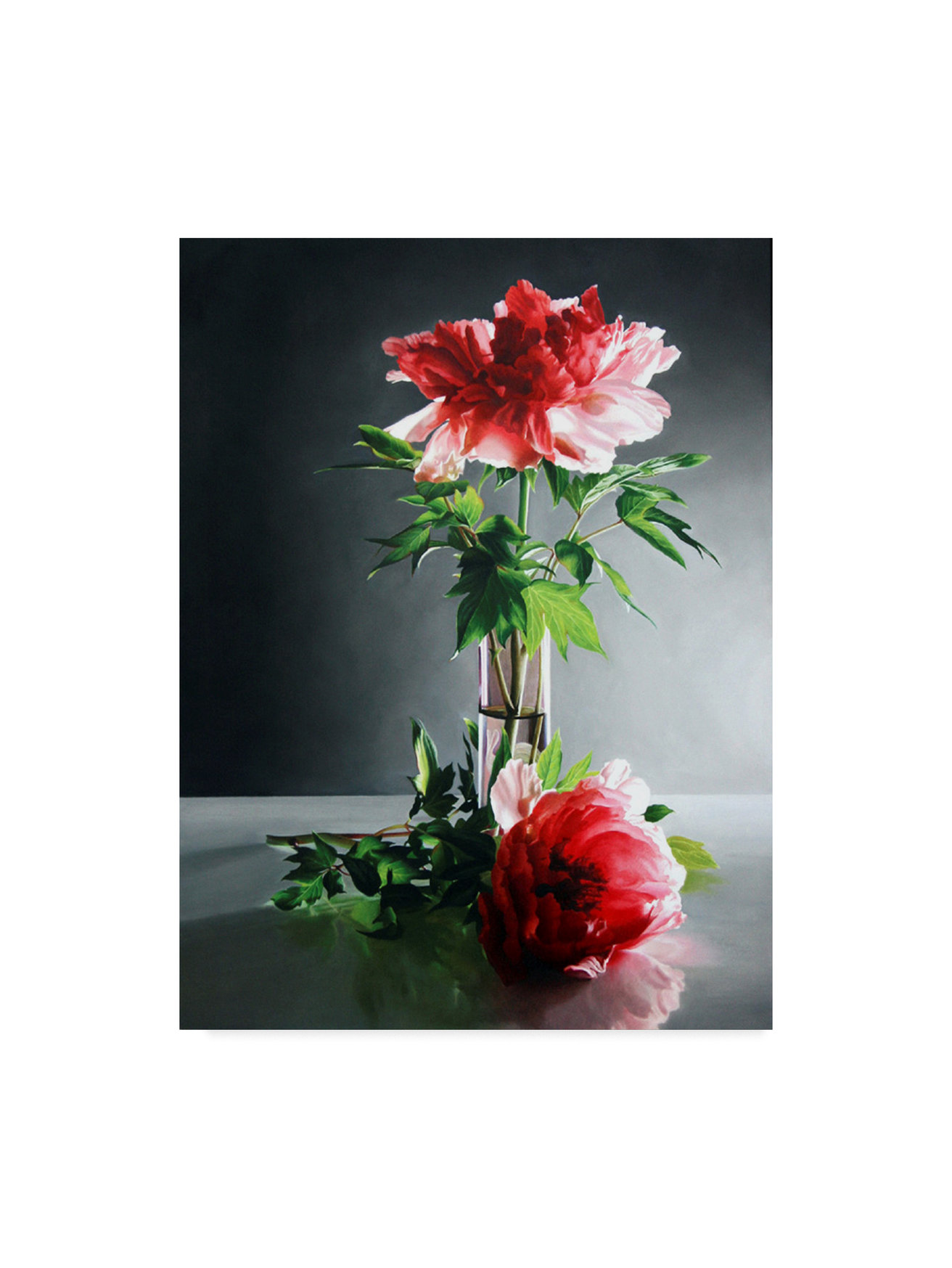 Cecile Baird 'Fragile Beauty Glass Vase' Canvas Art, 24"x32", 24"x32 ...