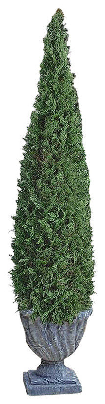 Classic Topiary, 60" - Contemporary - Artificial Plants And Trees - by ...