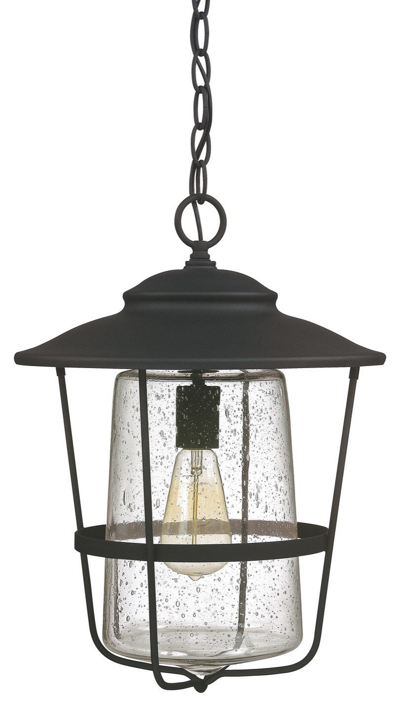 Capital Creekside 1-Light Hanging Lantern, Black - Transitional ...