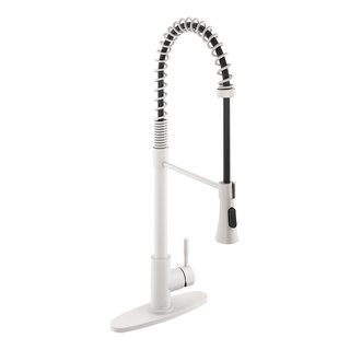 Modern Spring Pull Down Sprayer Kitchen Faucet with Dual-Function, 1 ...