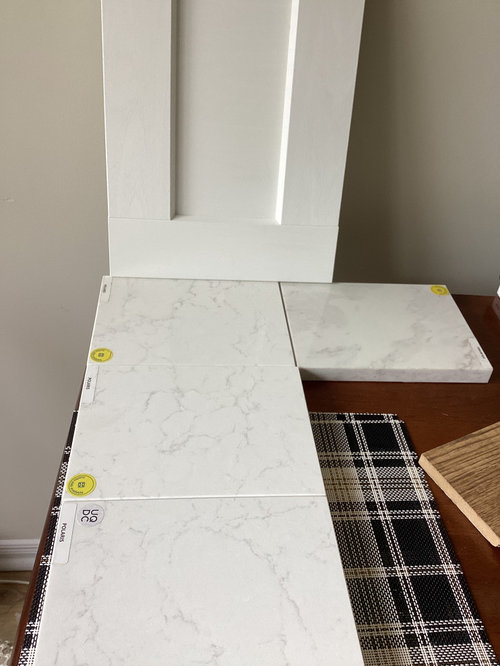 Enkoping doors and quartz counter solid or veining.