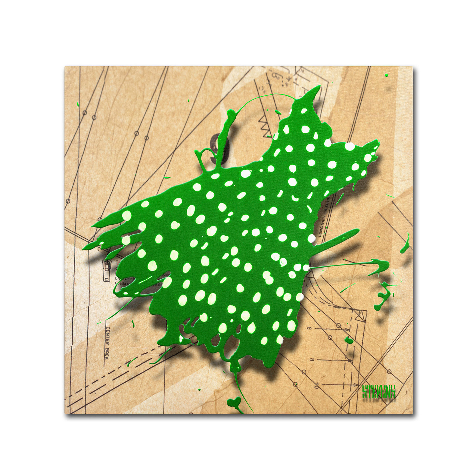 'White on Green' Canvas Art by Roderick Stevens, 35" x 35 ...