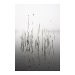 "silence" Digital Paper Print by david ahern, 14"x20", 22"x32 ...