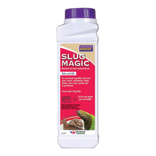 Bonide Slug Magic Pesticide/Remover, 24 Ounce - Gardening Accessories ...