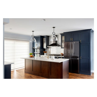Hale Navy Kitchen - Transitional - Kitchen - Minneapolis - by Wise ...