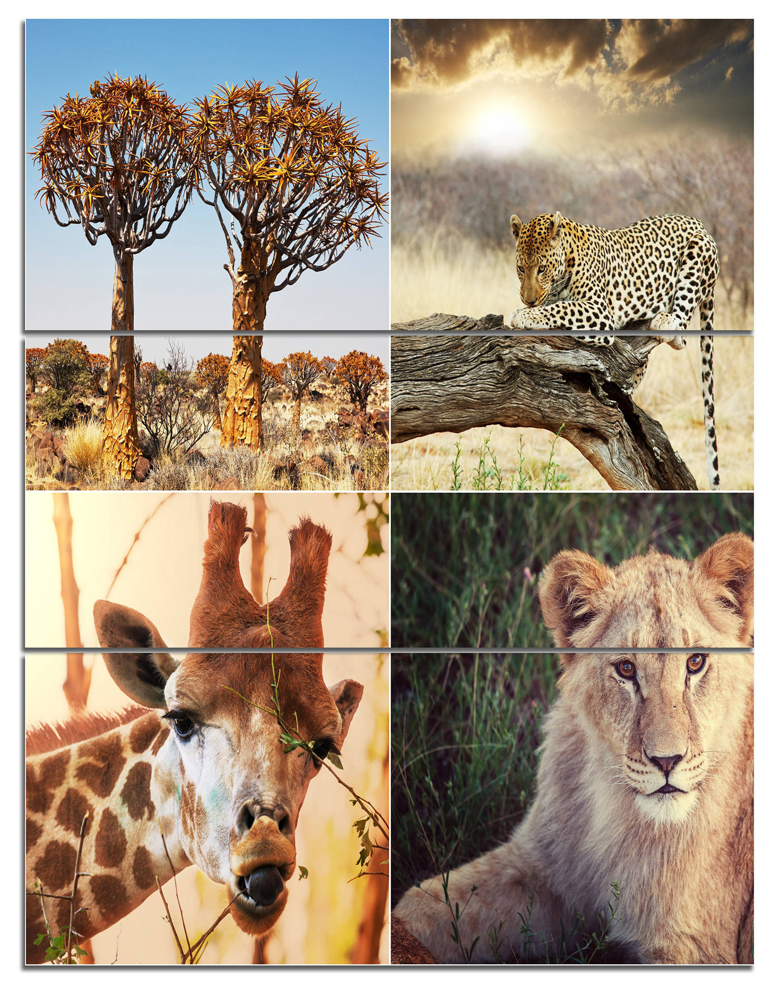 African Safari Wildlife Collage, African Landscape Canvas Print, 28x36 ...