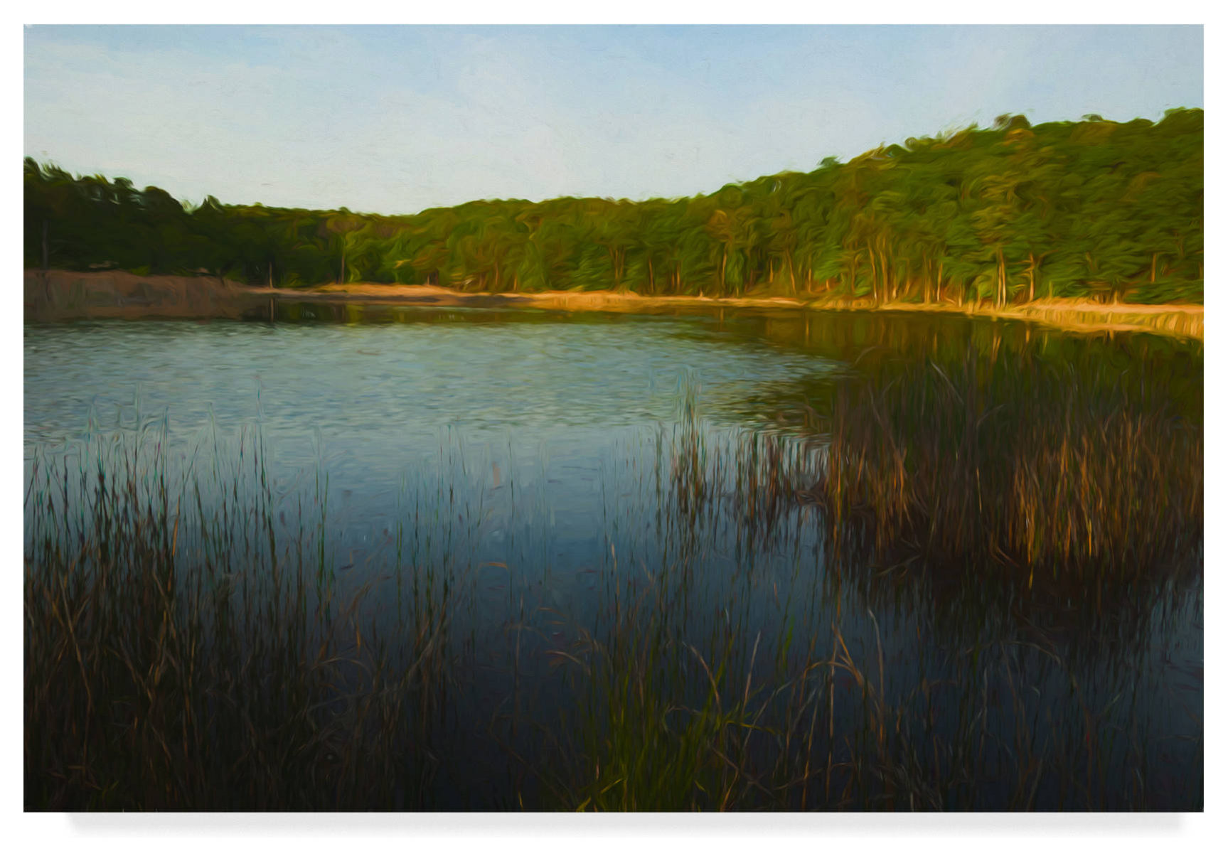 "Bulrush In Pond At Evening" by Anthony Paladino, Canvas Art, 22"x32 ...