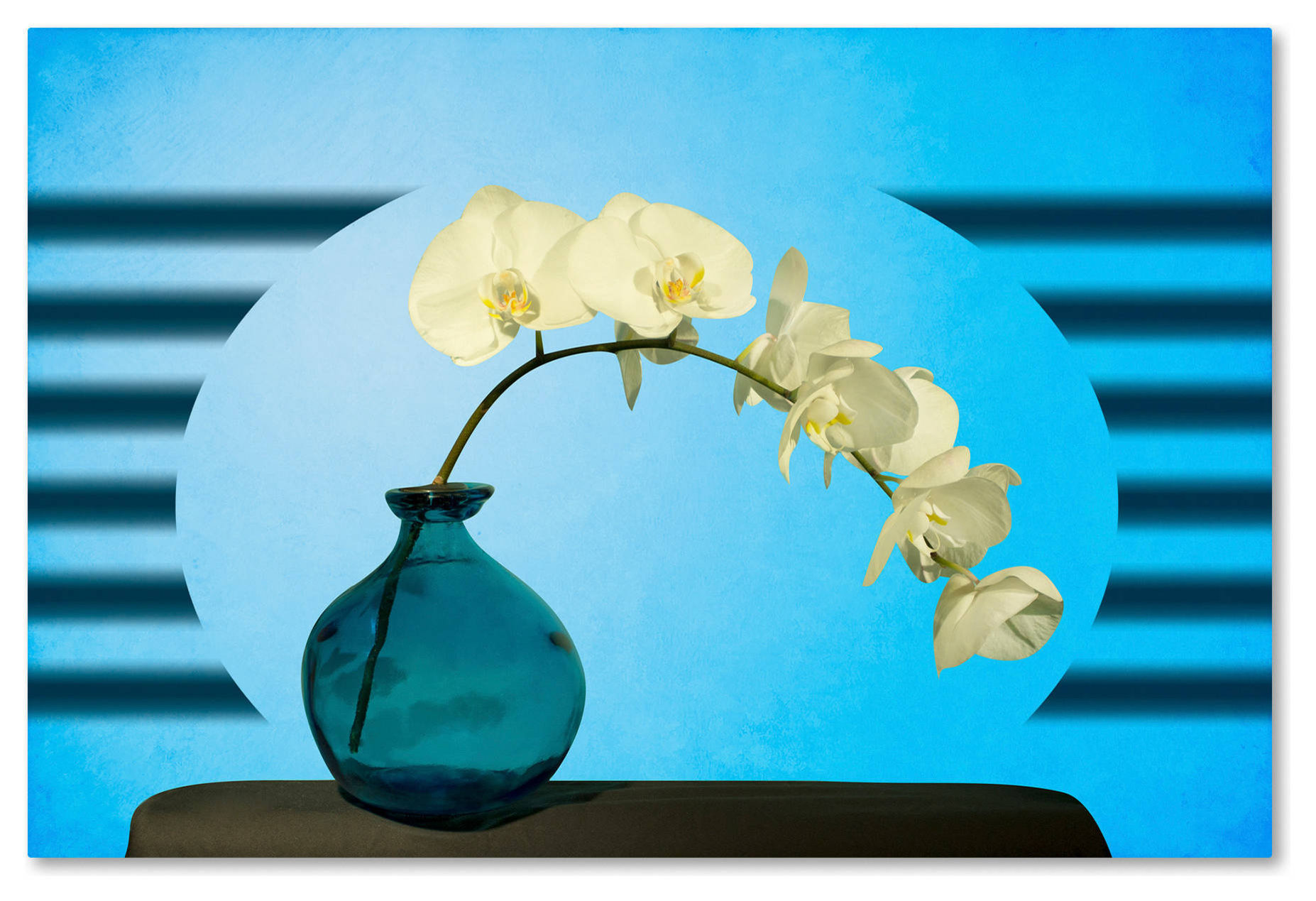 Mark Ashkenazi 'Orcidea' Canvas Art, 19"x12" - Contemporary - Prints ...