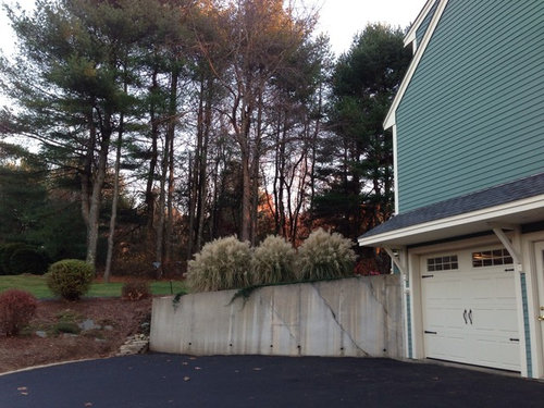 Hiding ugly retaining walls-Help!