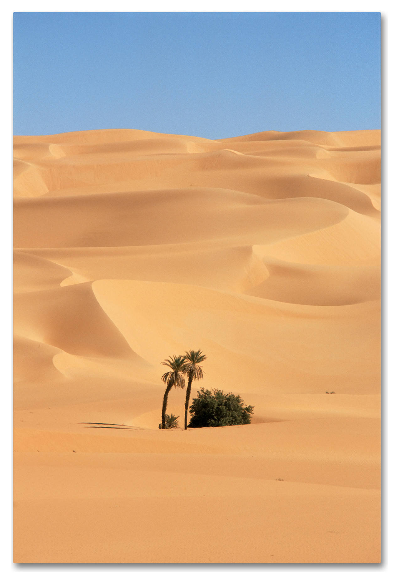 "Desert Scene." by Robert Harding Picture Library, Canvas Art, 30"x47 ...