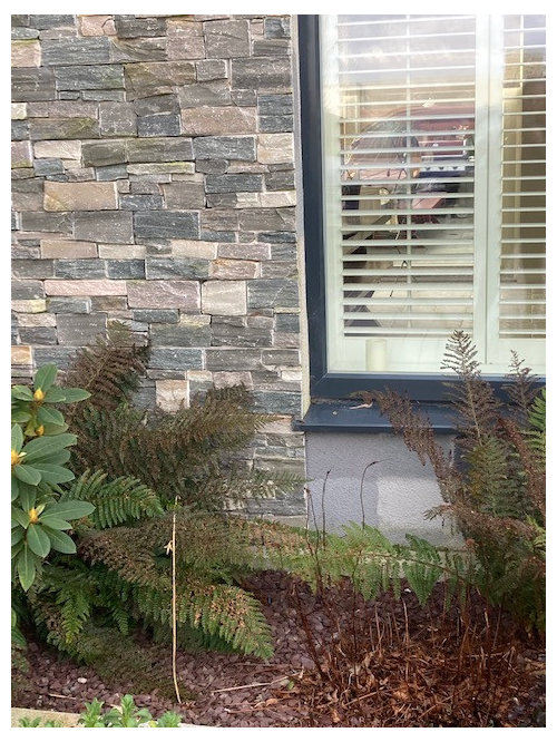 External Paint Colour