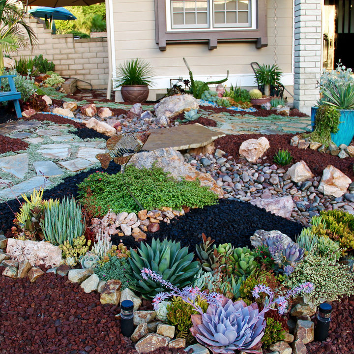75 Beautiful Xeriscape Ideas & Designs - June 2024 | Houzz AU