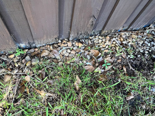 Removing rocks from soil for landscaping project