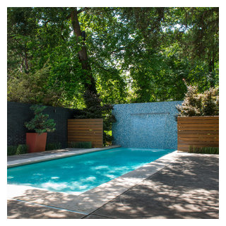 Chapel Hill II - Midcentury - Pool - Dallas - by WELCH | HALL ...