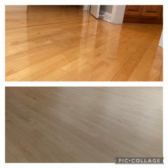 Staining maple wood floors - Advice on a good color or treatment?