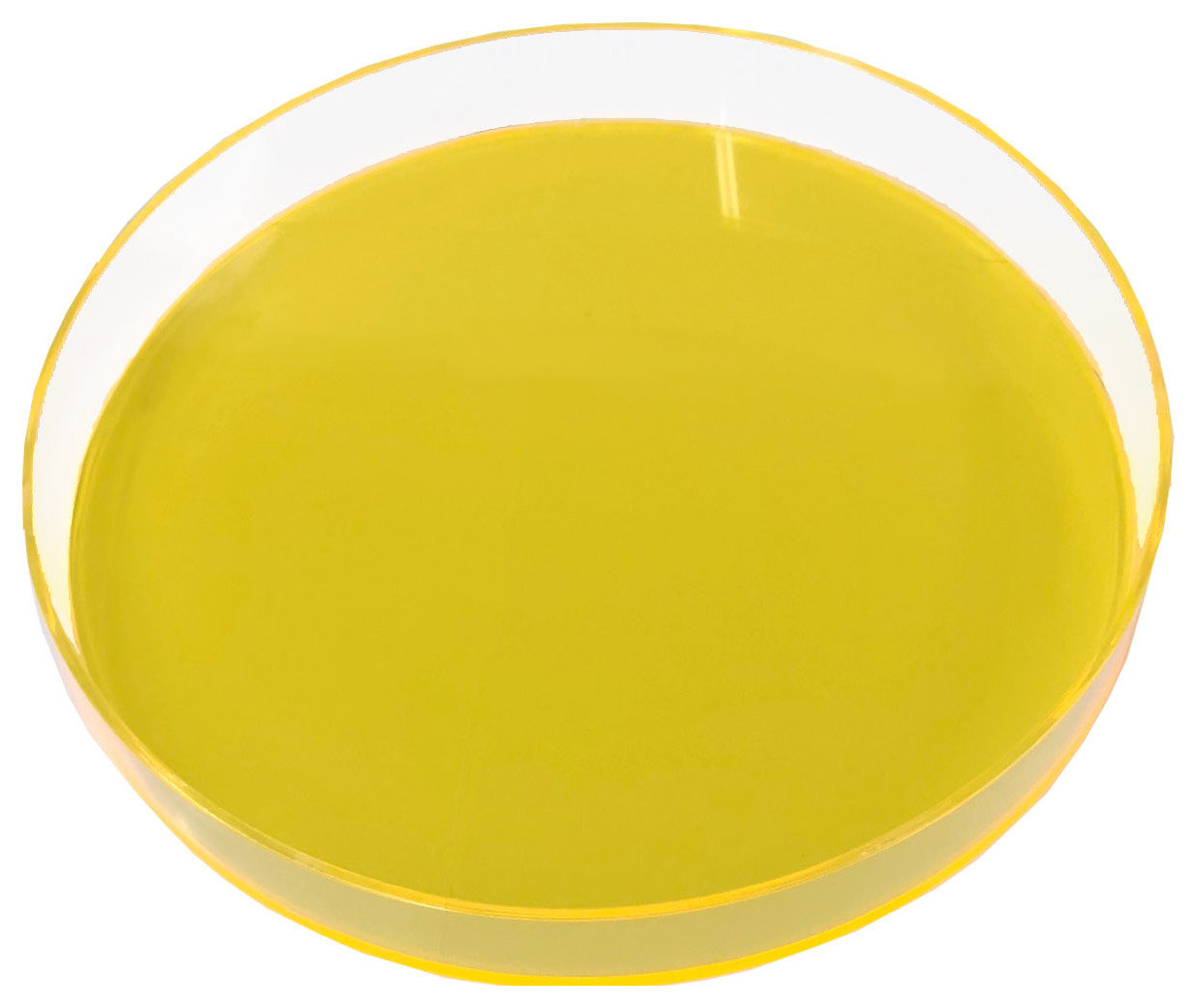 Round Lucite Tray - Contemporary - Serving Trays - by R16 HOME | Houzz