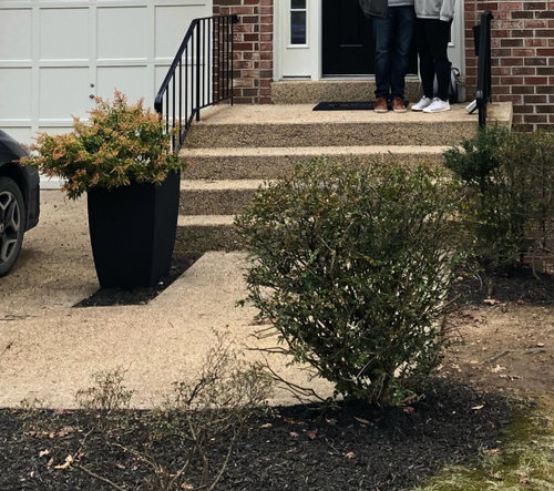 Cover Exposed Aggregate Steps?