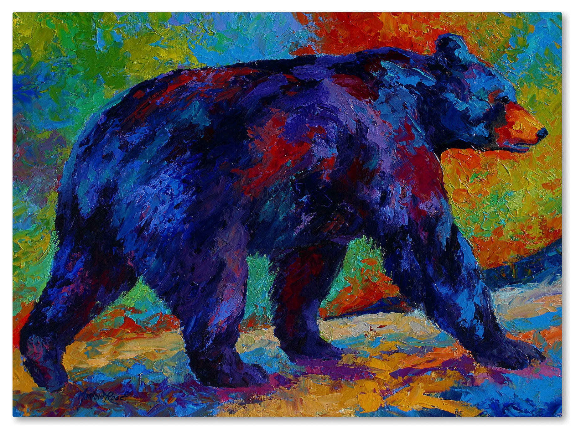 Marion Rose 'Black Bear 3' Canvas Art, 18"x 24" - Rustic - Prints And ...