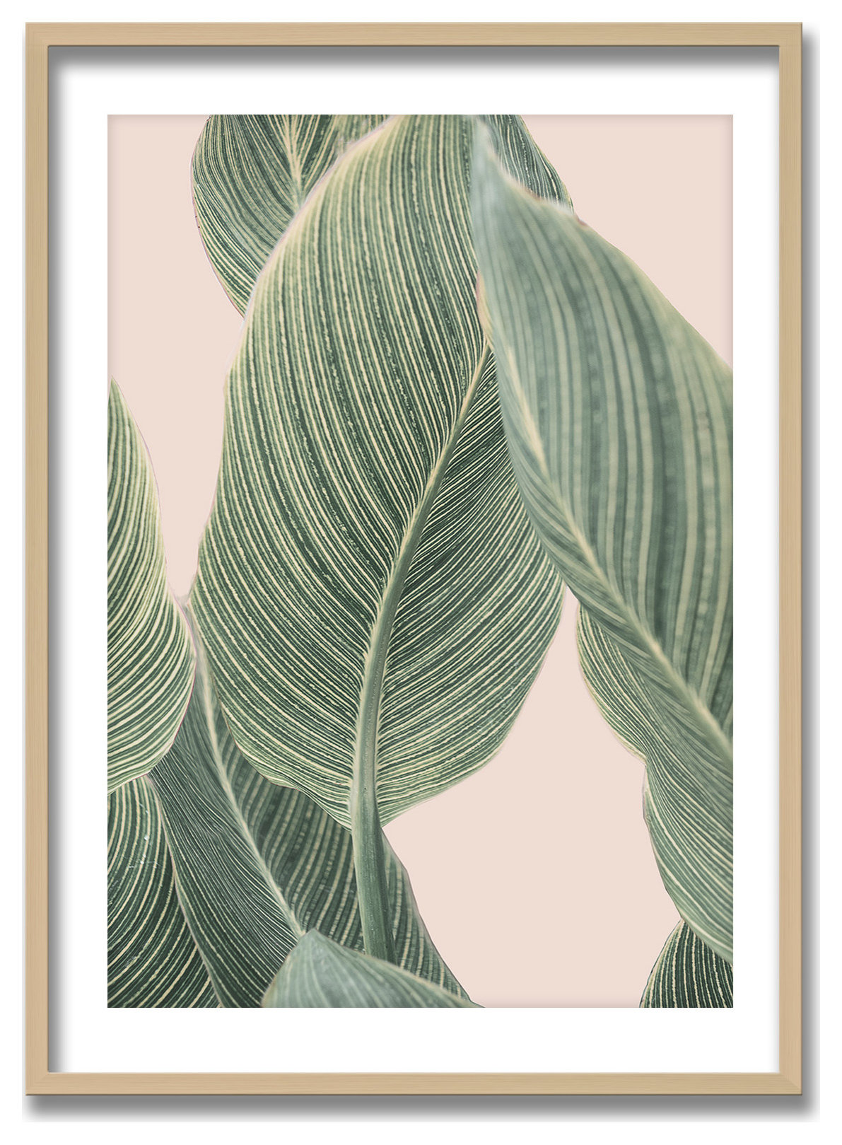 Calla Leaf Framed Print Wall Art by Kathrin Pienaar, 24"x36 ...