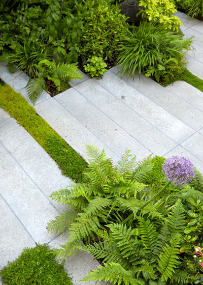 Yard of the Week: Leafy, Layered Backyard Haven on a Small Plot