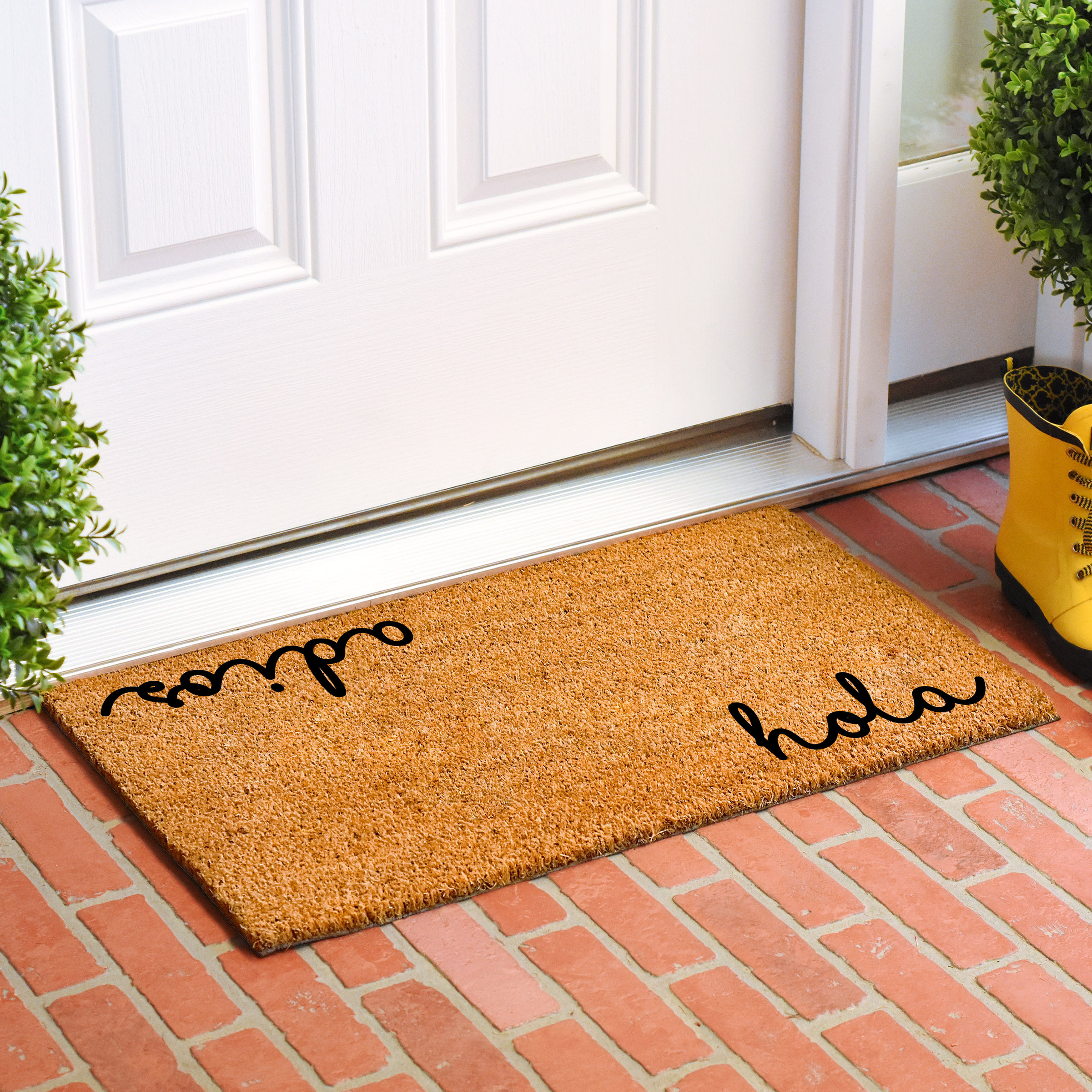 Calloway Mills Cursive Hola Adios Doormat, 24" X 36" - Contemporary ...