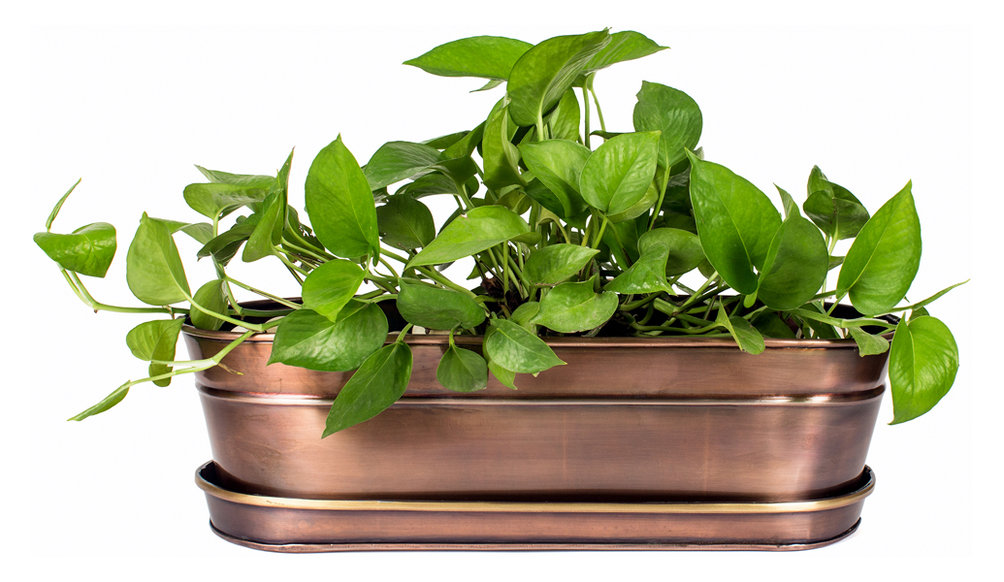 H Potter Large Planter Antique Copper Finish With Brass Accents ...