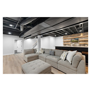 Forest Finished Basement - Craftsman - Basement - Detroit - by Alimoff ...