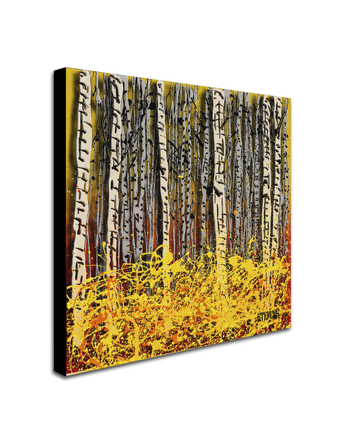 'Fall Aspens' Canvas Art by Roderick Stevens, 18" x 18" - Contemporary ...