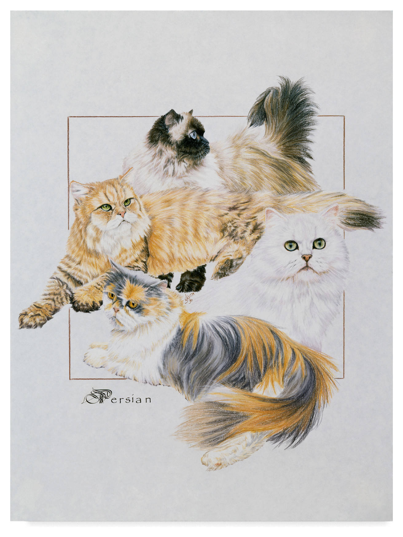 "Persian" by Barbara Keith, Canvas Art, 19"x14" - Contemporary - Prints ...