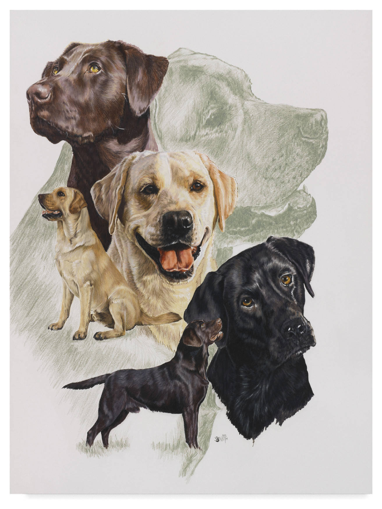 "Labrador" by Barbara Keith, Canvas Art, 19"x14" - Contemporary ...