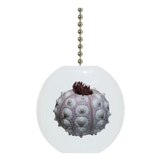Sea Urchin Seashell Ceiling Fan Pull - Beach Style - Ceiling Fan ...