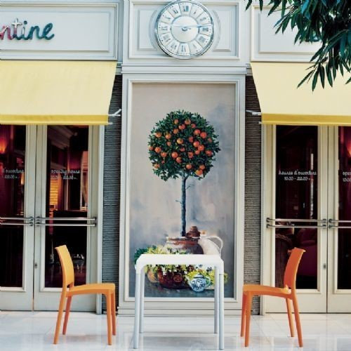 Maya Dining Chairs, Set of 2 - Midcentury - Outdoor Dining Chairs - by ...