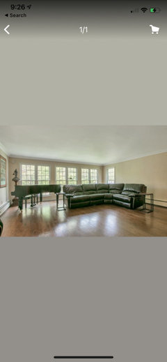 20x20 family/living room layout idea help needed