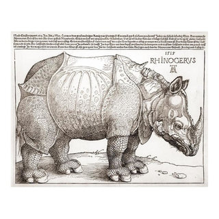 "The Rhinoceros" Paper Art, 24"x19" - Contemporary - Prints And Posters ...