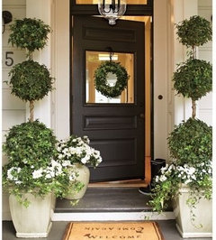 Spruce up my front doors...? | Houzz Forum