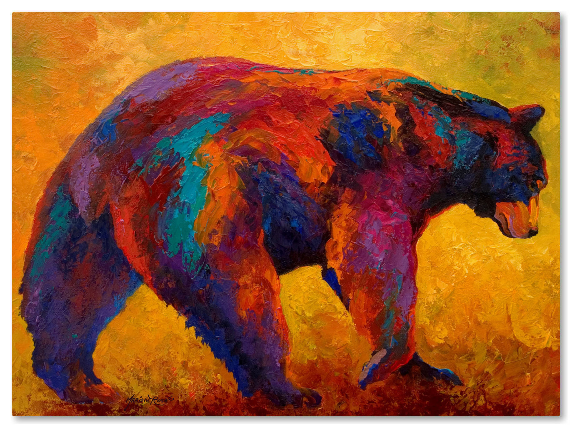 Marion Rose 'Daily Rounds Black Bear' Canvas Art, 14"x 19" - Rustic ...