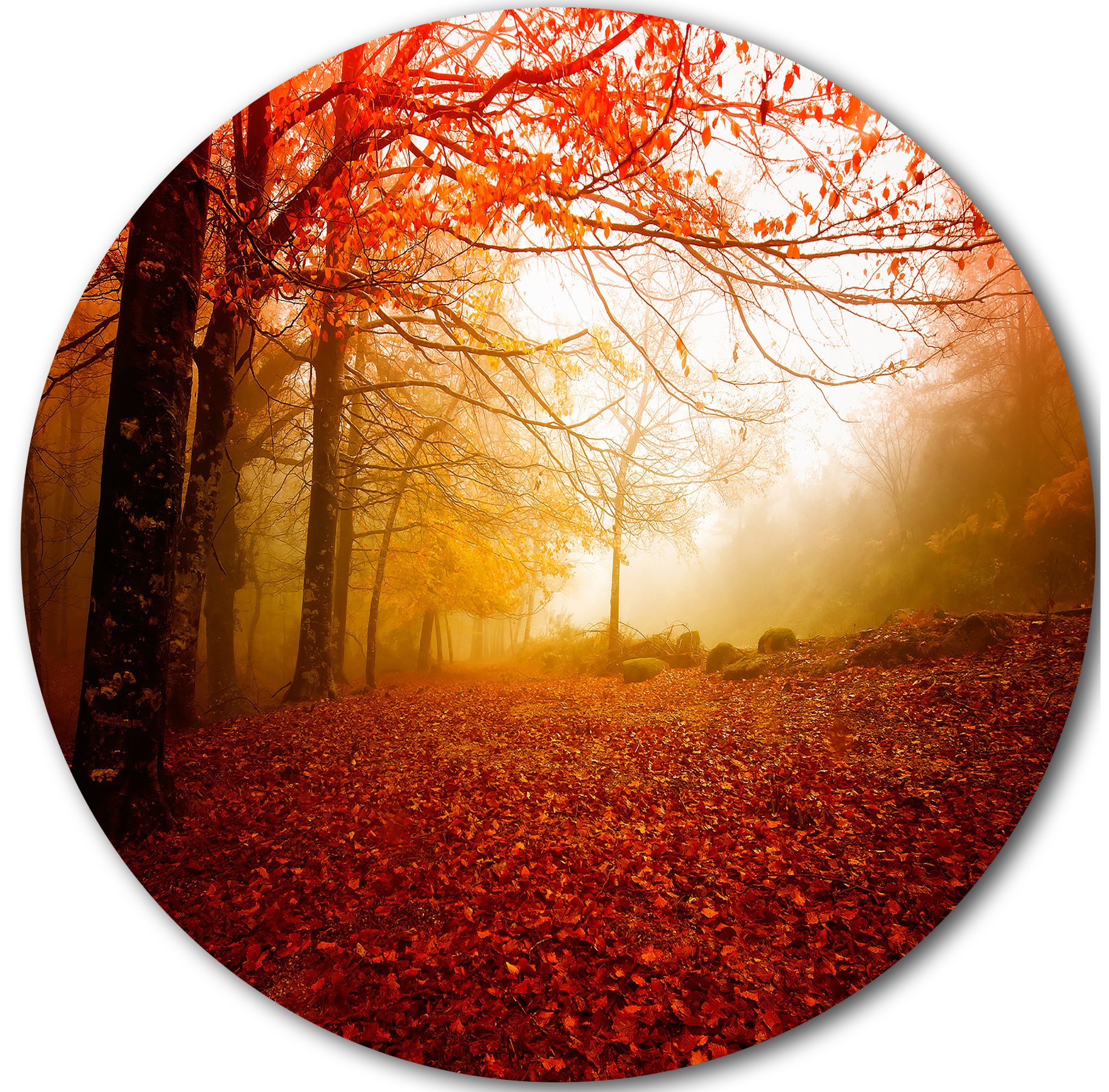Yellow Sun Rays in Red Forest, Landscape Photo Round Metal Artwork ...