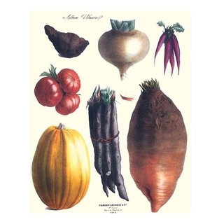 Vegetables; Tomato, Raddish, Sweet, Pumpkin, Carrots, Yam, 20" x 30 ...