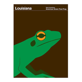 Louisiana American Green Tree Frog Print, 17" x 22" - Contemporary ...