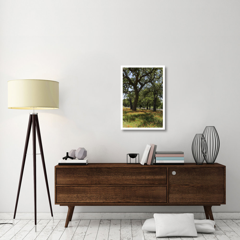 "Shade trees and wildflowers, LBJ Ranch, Texas Hill Country" Paper Art ...