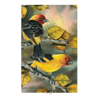 by Artist Dave Bartholet Western Tanagers Art Print, 24"x36 ...