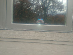 2007 Eagle (Andersen) casement windows sagging - how to fix?