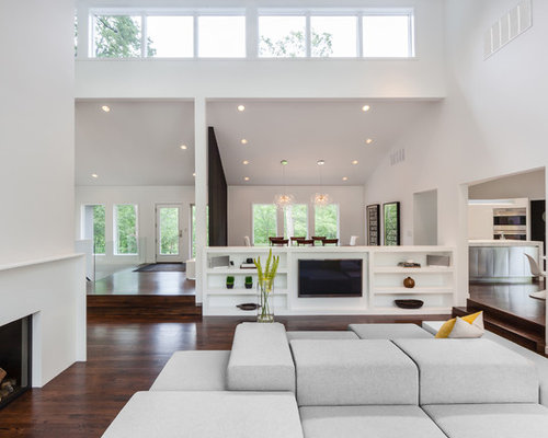 Tv Room Divider | Houzz