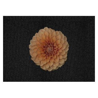 Sharp Colors 440 Area Rug, 5'0"x7'0" - Contemporary - Novelty Rugs - by ...