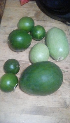 Polishing watermelons | Houzz Forum
