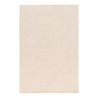 Hand Loomed Ashlee Area Rug ASL-1011, 2' x 3' - Transitional - Area ...