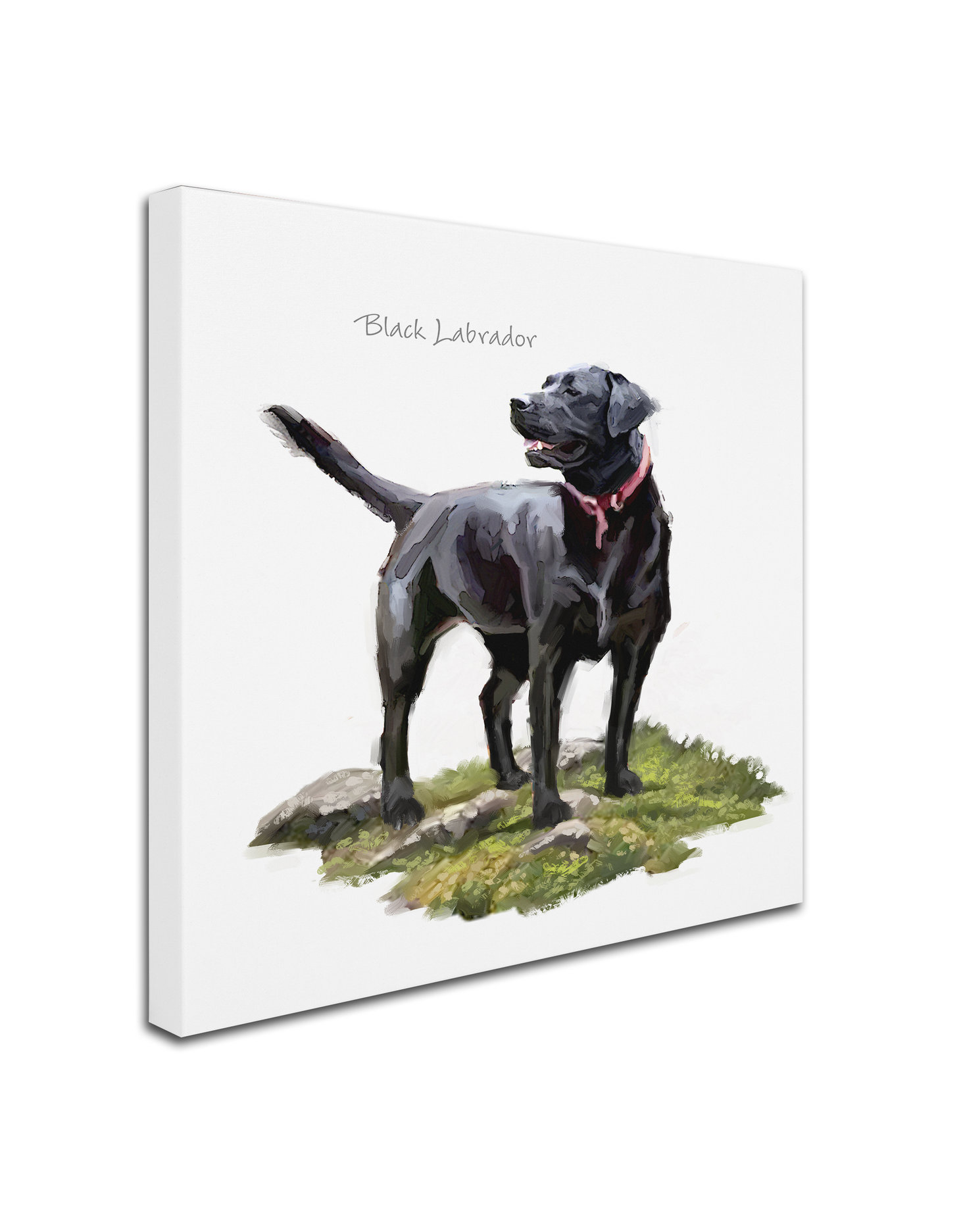 The Macneil Studio 'Black Labrador' Canvas Art, 14"x14" - Contemporary ...