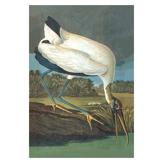 Wood Stork, 20" x 30" - Traditional - Prints And Posters - by ...