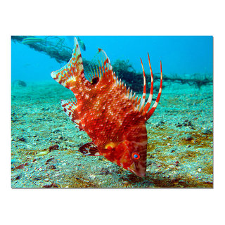 Ready2hangart Christopher Doherty Photography 'Sea Life' Canvas Wall ...