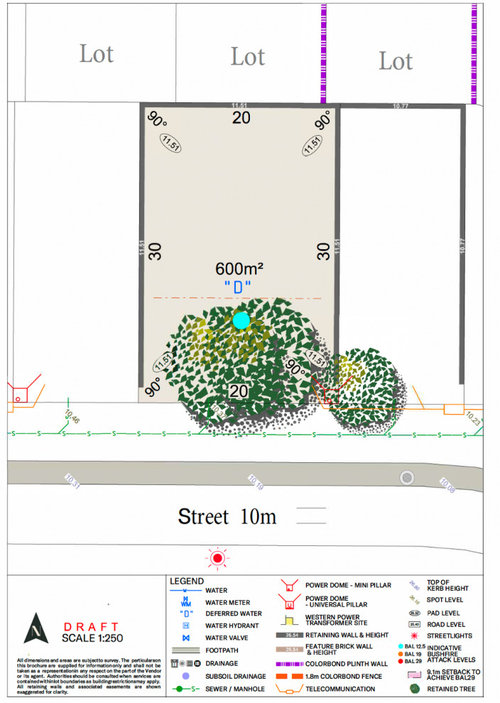 Design Dilemma: 20m Wide Lot with Massive 10.5m Tree Setback - Build F ...